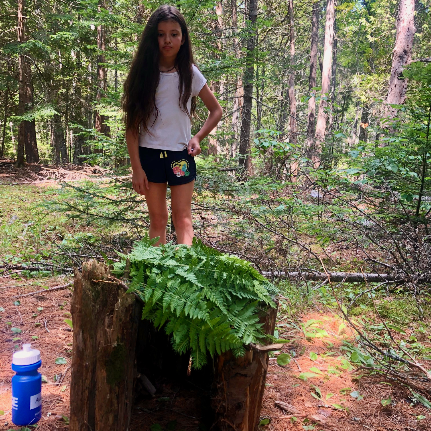 EdGE Camp Week 1 - Building Forest Structures - Maine Seacoast Mission
