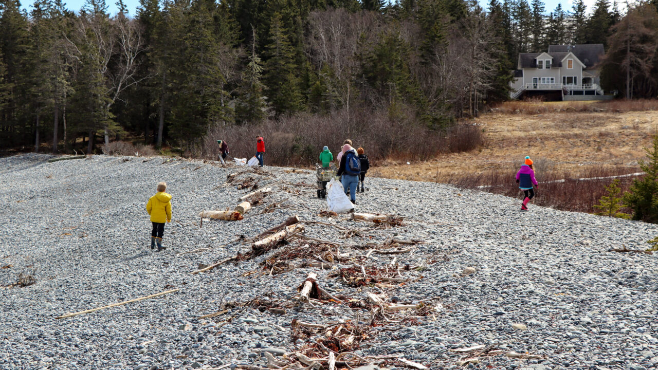 Island Clean-Up after two major storms